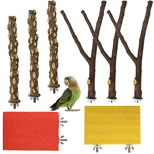 kathson Natural Bird Perch Parakeet Wood Stand Sticks Branches Parrot Paw Grinding Platform Bird Cage Accessories for Budgies Parakeet Cockatiels Conures Lovebirds (8 PCS)