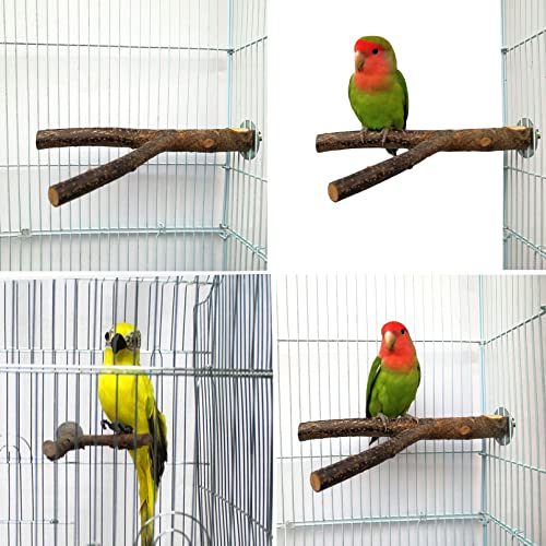 kathson Natural Bird Perch Parakeet Wood Stand Sticks Branches Parrot Paw Grinding Platform Bird Cage Accessories for Budgies Parakeet Cockatiels Conures Lovebirds (8 PCS)