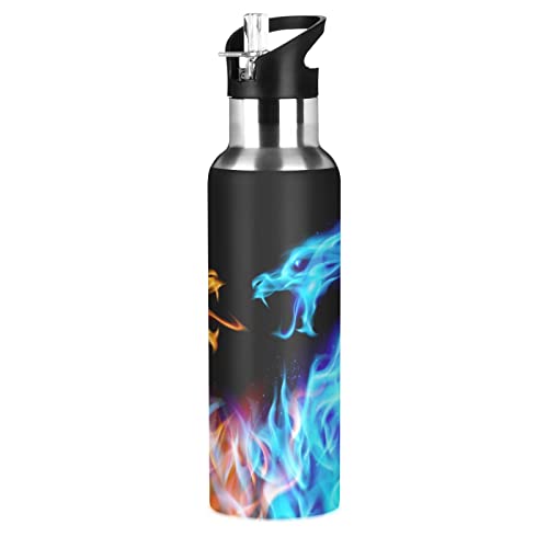 Qilmy 3D Printing Dragon Water Bottle Vacuum Insulated Stainless Steel Water Bottles with Straw Lid Leakproof Wide Mouth Water Flask for Fitness Outdoor Sports, 22 oz…