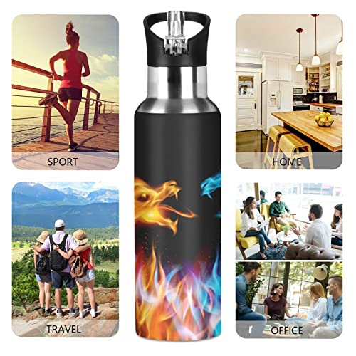 Qilmy 3D Printing Dragon Water Bottle Vacuum Insulated Stainless Steel Water Bottles with Straw Lid Leakproof Wide Mouth Water Flask for Fitness Outdoor Sports, 22 oz…