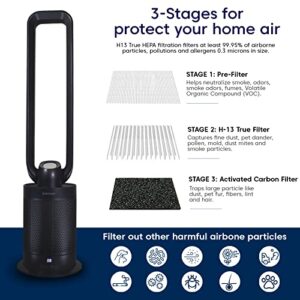 SkyPlus Bladeless Fan and Air Purifier Combo for Home Large Room | True HEPA Activated Carbon Air Filters 99.95% of Particles in Air | Oscillating Tower Fan with Remote Control | Great Air Multiplier for Home | Filters Allergies, Pollen, Smoke, Dust, Pet