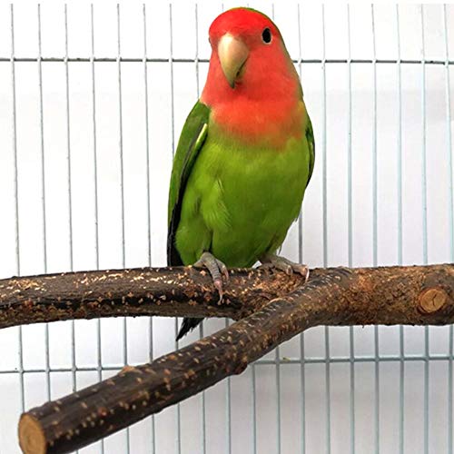 BILLIOTEAM 4 Pack Natural Wood Bird Perch Parrot Stand Branches Fork Toys,Pet Bird Cage Wooden Hanging Perch Platform Hammock Swing Toy for Small Parakeets,Budgies,Cockatiels,Conures,Macaws,Finches