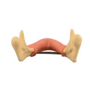 Ultrassist Mandible with Soft Tissue for Drilling Practice, Basic Implant Training Model with Practice Soft Artificial Tissue, Great Dental Training Tooth for Dental Implant Practice