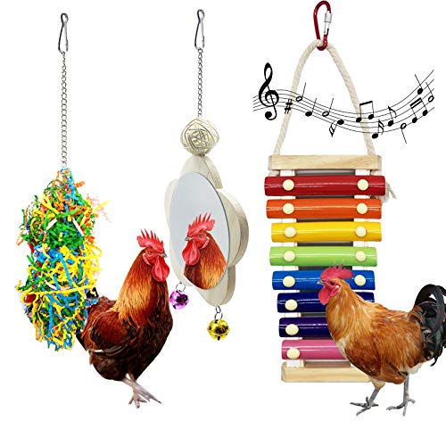 EBaokuup 3PCS Chicken Toys for Hens, Chicken Xylophone Toy, Chicken Mirror Toy with Bell and Foraging Shredder Toys, Suspensible Wood Xylophone Toy with 8 Metal Keys for Chicks Hens Parrot Bird