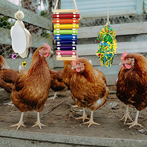 EBaokuup 3PCS Chicken Toys for Hens, Chicken Xylophone Toy, Chicken Mirror Toy with Bell and Foraging Shredder Toys, Suspensible Wood Xylophone Toy with 8 Metal Keys for Chicks Hens Parrot Bird