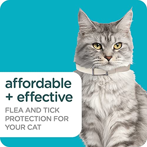 Sergeant's Guardian Pro Flea & Tick Cat Collar, 1 Count