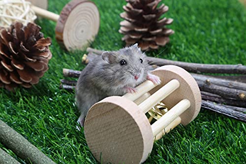 PD Hamster Chew Toys for Teeth, Natural Wood Dumbbells Exercise Bell Roller Molar Toys for Rabbit Bunny Chinchilla Guinea Pig Gerbils Groundhog Squirrels (Style 1)