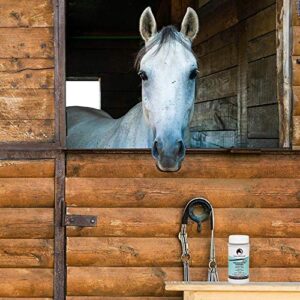 COAT DEFENSE Daily Preventative Powder for Horses - Safe & Effective Equine Skin Conditioner Sweet Itch, Skin Funk, & Rain Rot - Dry Horse Shampoo, 16 oz Formula with All Natural Ingredients