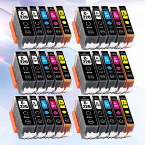 [30 Pack] Smart Gadget Compatible Ink Cartridge Replacement for Canon PGI-220 PGI220 CLI-221 CLI221 | Use with PIXMA MX870 MX860 MP560 Printers | 6 Large Black 6 Small Black 6 Cyan 6 Magenta 6 Yellow