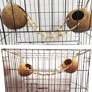 kathson Bird Hides Coconut Nest with Ladder Perches Hanging Parrot House Cage Natural Coconut Fiber Parakeet Chewing Toys Intelligence Training Rings for Small Budgies Cockatiels 5PCS