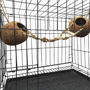 kathson Bird Hides Coconut Nest with Ladder Perches Hanging Parrot House Cage Natural Coconut Fiber Parakeet Chewing Toys Intelligence Training Rings for Small Budgies Cockatiels 5PCS