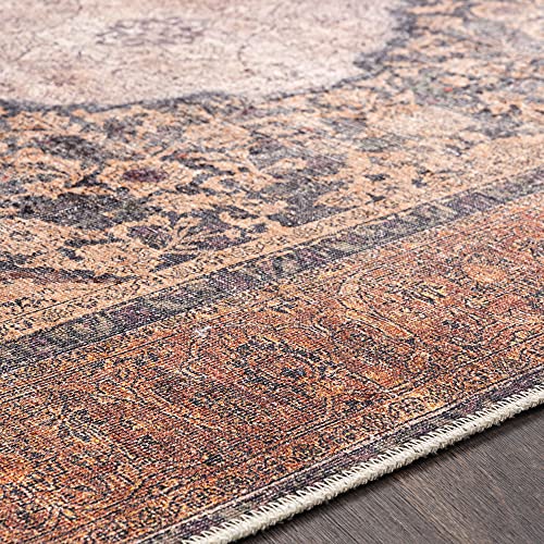 Artistic Weavers Bonita Vintage Oriental Area Rug, 6'7" x 9', Clay