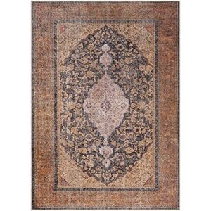 Artistic Weavers Bonita Vintage Oriental Area Rug, 6'7" x 9', Clay