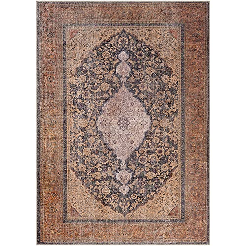 Artistic Weavers Bonita Vintage Oriental Area Rug, 6'7" x 9', Clay