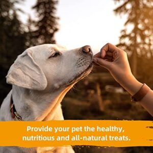 Jungle Calling Dog Treats, Chicken Jerky Wrapped Rawhide Chew Sticks, Long Lasting Chewing Food with Glucosamine and Chondroitin for Hip and Joint Health