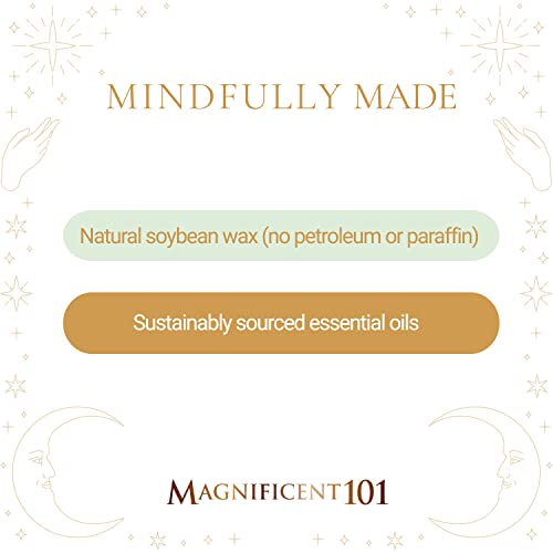 Magnificent 101 Manifesting More Money Than I Can Spend Tin Candle 6oz