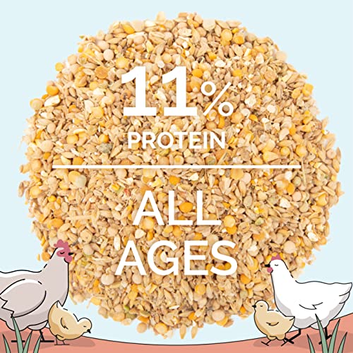 Mile Four | Chicken Scratch | 100% US Grown Grains, Organic, Non-GMO, Soy-Free, Non-Medicated, Whole Grain Chicken Treats for Hens & Roosters | Scratch for Chickens, Ducks & Waterfowl | 23 lbs.