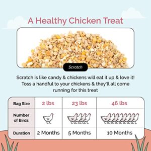 Mile Four | Chicken Scratch | 100% US Grown Grains, Organic, Non-GMO, Soy-Free, Non-Medicated, Whole Grain Chicken Treats for Hens & Roosters | Scratch for Chickens, Ducks & Waterfowl | 23 lbs.