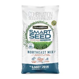 pennington smart seed northeast grass mix 20 lb, drought resistant and covers 6,600 sq ft