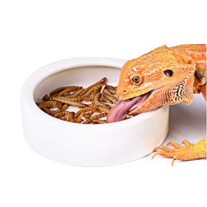 reptile food water bowl, 2 pcs ceramics worm dish ,anti-escape reptile water feeder ,mealworm bowl for lizard gecko bearded dragon, (s,m,l) (large)