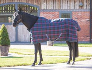 shires tempest plus 100g stable rug