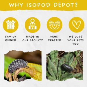 Isopod Depot Iso Chow Variety Mix Blend 1.5 oz - Premium Isopod Food, Isopod Treat, Springtail Food