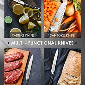 Kitchen Knife Set - 1829 CARL SCHMIDT SOHN 15 Pieces Knife Block Set with Sharpener, Forged Stainless Steel, Professional Chef Block Set with Ergonomic Handle, Kitchen Tool Set, World-Class Sharpness