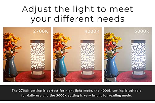 Aleddra AirGuardian Table Lamp - Inactivates viruses, Bacteria and Bad Odors in The air | 3 Color Temperature Modes | UV-Free & Ozone-Free | Adjustable Brightness & 2 USB Ports