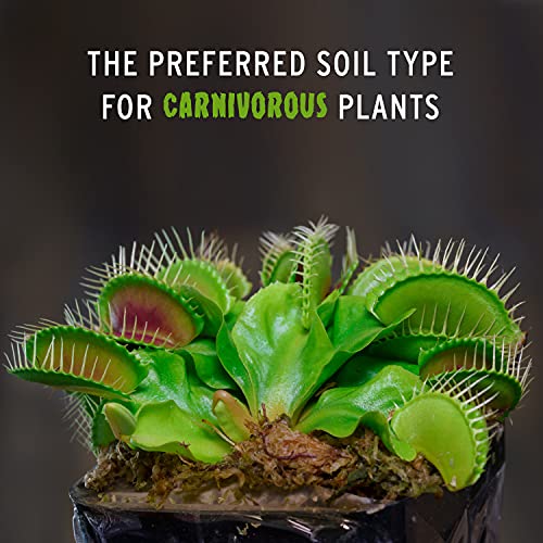 Carnivorous Plant Soil - Long Fibered Sphagnum Moss - 2 Quarts - New Zealand Grade - for Potting Venus Fly Traps, Sarracenia, Pitcher Plants, and Other Carnivorous Plants