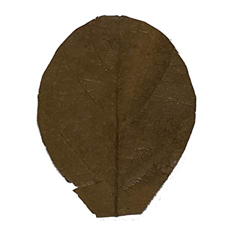 Awesome Aquatic Betta/Shrimp Leaves 50 Mini 2" Premium Catappa Indian Almond Leaves Natural Habitat Tannin Producing Improves Immunity, Easy to USE