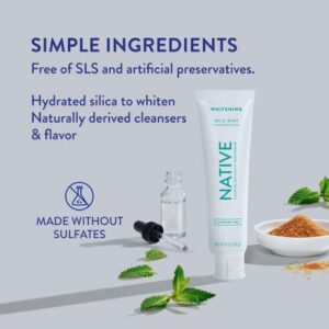 Native Toothpaste Made from Naturally-Derived Cleaners and Simple Ingredients That Safely Whitens Teeth, 4.1 oz, Wild Mint Fluoride Free - 1 Count