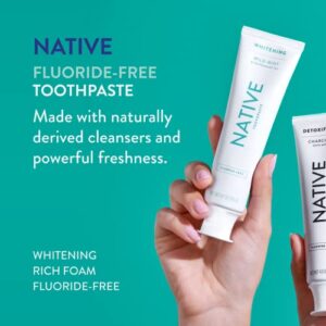 Native Toothpaste Made from Naturally-Derived Cleaners and Simple Ingredients That Safely Whitens Teeth, 4.1 oz, Wild Mint Fluoride Free - 1 Count