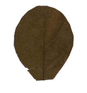 awesome aquatic betta/shrimp leaves 25 mini 2" premium catappa indian almond leaves natural habitat tannin producing improves immunity, easy to use