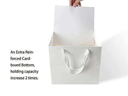 HUAPRINT White Paper Bags with handles,Gift Bags Bulk 24 Pack,10x10x10inch Square Size Large,Paper Shopping Bags, Kraft, Party, Birthday,Favor, Goody, Take-Out, Merchandise, Retail Bags