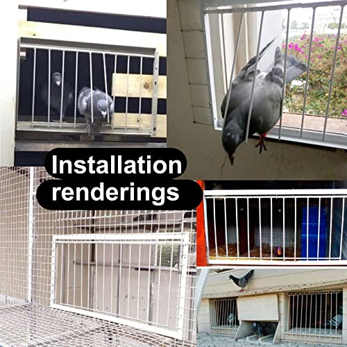 Pigeon Loft Door Pigeon Entrance Door Trap Door Pigeon House Door Racing Supplies Pet Bird Supply Product Bird cage Door (30cm/12in)