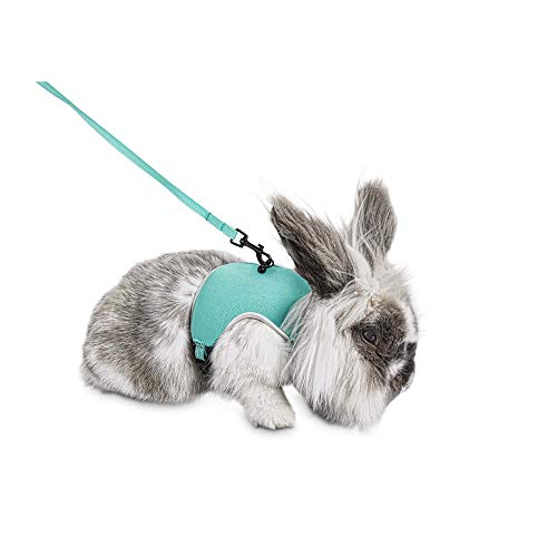 You & Me Aqua Small Animal Harness and Leash Set, Large