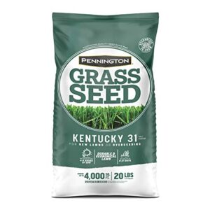 pennington kentucky 31 tall fescue grass seed 20 lb