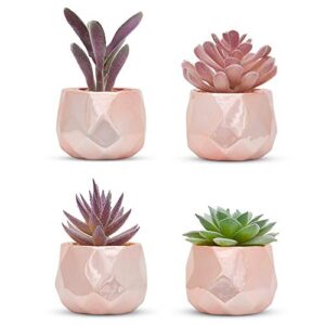 nordik set of 4 desk plants in rose gold - office decor for women, indoor, living room, bedroom, home and desk decor – pink faux succulents geometric ceramic planters