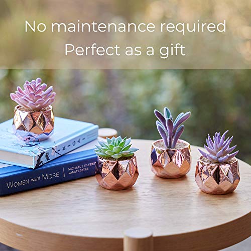 Nordik Set of 4 Desk Plants in Rose Gold - Office Decor for Women, Indoor, Living Room, Bedroom, Home and Desk Decor – Pink Faux Succulents Geometric Ceramic Planters