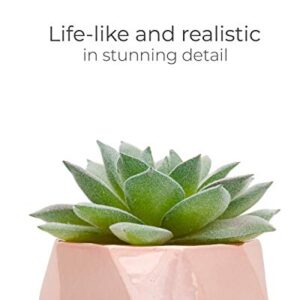 Nordik Set of 4 Desk Plants in Rose Gold - Office Decor for Women, Indoor, Living Room, Bedroom, Home and Desk Decor – Pink Faux Succulents Geometric Ceramic Planters