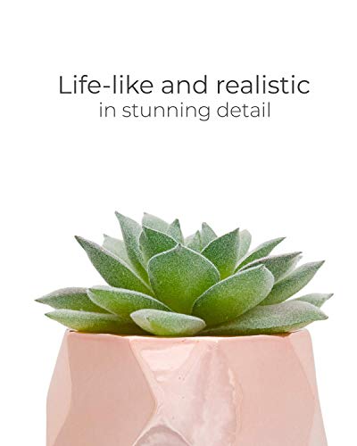 Nordik Set of 4 Desk Plants in Rose Gold - Office Decor for Women, Indoor, Living Room, Bedroom, Home and Desk Decor – Pink Faux Succulents Geometric Ceramic Planters