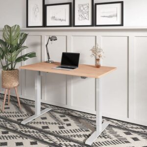 FLEXISPOT EC1 Height Adjustable Desk 55 x 28 inch Electric Standing Desk Whole-Piece Desk Board Stand Up Desk for Home Office (Gray Frame + 55" Natural Top)