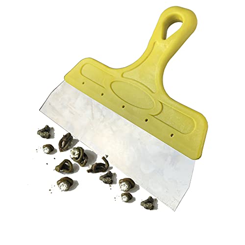 SRRPSPIGEON Pigeon droppings Scraper Bird droppings Clean Pigeon Home nest Cleaning Scraper Straight Pigeon loft Tool