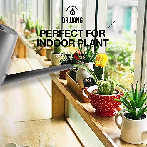 DR.UANG Watering Can for Indoor House Plants Long Spout with Detachable Spray Head Watering Cans for Plant Garden Flower, Long Spout Water Can for Outdoor Watering Plants 1.8L 60oz 1/2 Gallon (Gery)