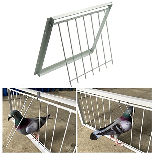 Pigeon Loft Door Pigeon Entrance Door Trap Door Pigeon House Door Racing Supplies Pet Bird Supply Product Bird cage Door (60cm/24in)