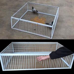 Pigeon Loft Door Pigeon Entrance Door Trap Door Pigeon House Door Racing Supplies Pet Bird Supply Product Bird cage Door (60cm/24in)