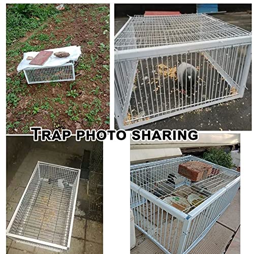 Pigeon Loft Door Pigeon Entrance Door Trap Door Pigeon House Door Racing Supplies Pet Bird Supply Product Bird cage Door (60cm/24in)