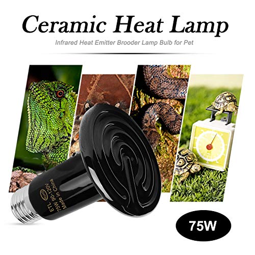 2-Pack 75W Ceramic Heat Lamp with 1-pcs Digital-Thermometer, Infrared Heat Emitter Bulbs for Reptiles, Amphibians, Chicken Brooder Coop Lizard Turtle Snake Aquarium, No Light No Harm, ETL Listed