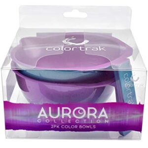 Colortrak SC Aurora Bowls, Stackable Color Bowls With Non-Slip Rubber Bottom, Easy-Pour Spout Lip, Shimmer Gradient Design, Color Grid With Milliliter Measurements, 2 Bowls