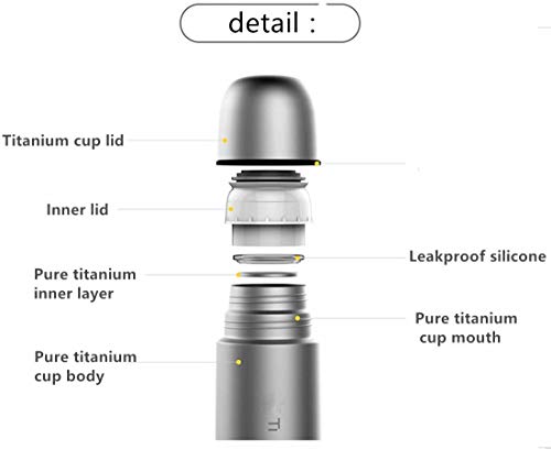 LSXX Thermoses Vacuum Insulated 17 Ounce Compact Stainless Steel Beverage Bottle (500 ml/17 OZ, Stainless steel)